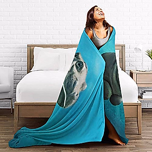 Funny Hippo Foldable Fleece Blanket Throw Lightweight Blanket Super Soft Cozy Bed Warm Blanket for Living Room/Bedroom All Season (Funny Hippo, 60" × 50")