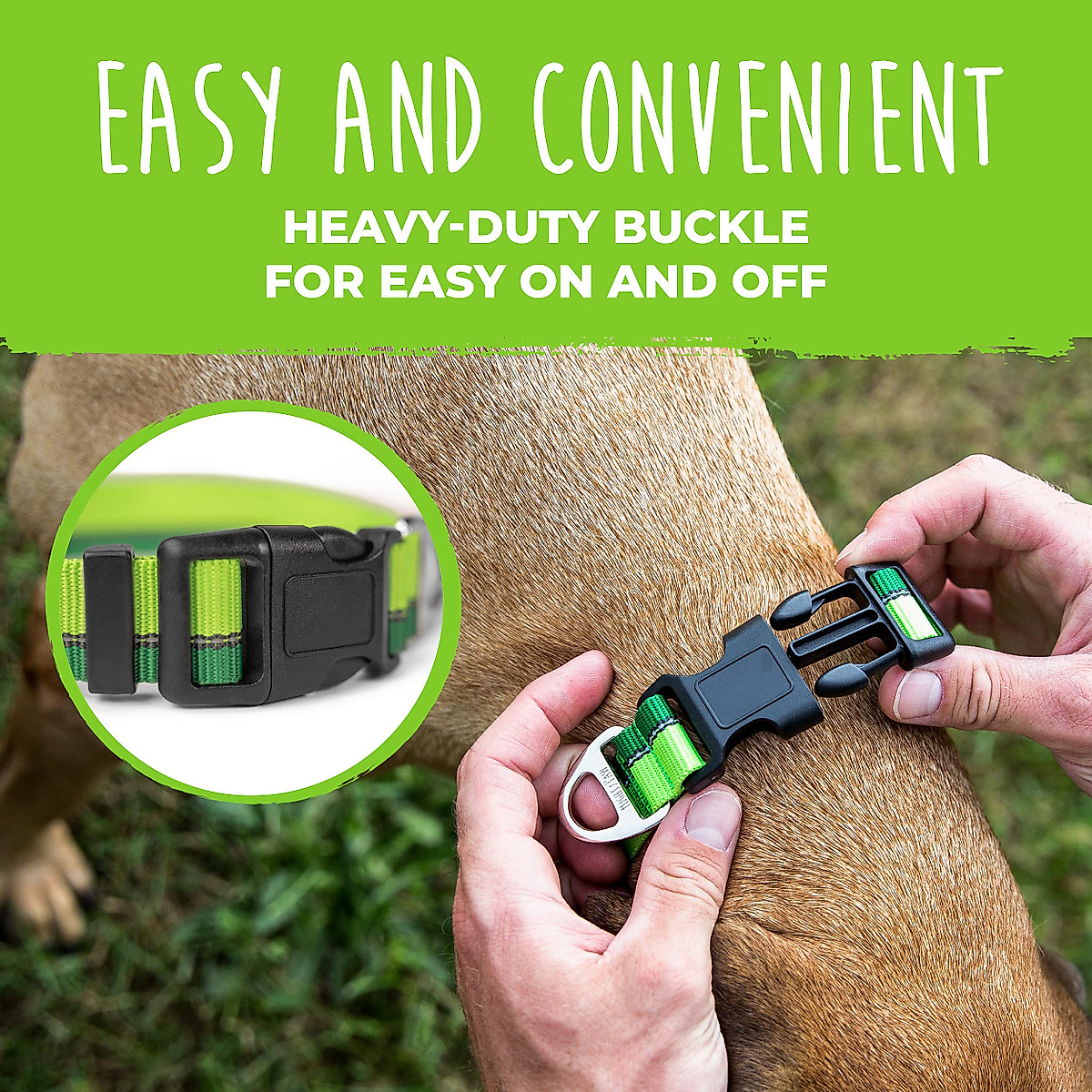 Mighty Paw Reflective Dog Collar | Premium High Visibility Collar with Reflective Stitching. Weatherproof, Heavy Duty Hardware, Stylish Colors and Design. Perfect for Small and Large Pets (Green)