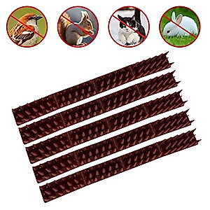 Bird Spikes, Bird Deterrent Spikes for Small Birds Pigeon Squirrel Raccoon Cats Crow Bird Repellent Spikes for Outside to Keep Birds Away