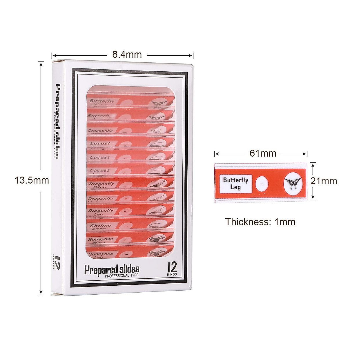 48PCS Kids Plastic Prepared Slides for Microscope of Animals Insects Plants Flowers Sample Specimens for Basic Biological Science Education #81053