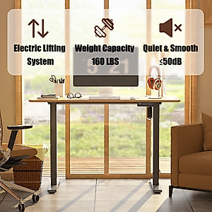 AITERMINAL Height Adjustable Electric Standing Desk, 48 x 24 Inches Sit Stand up Desk, Home Office Desk with Whole-Piece Desktop, Black Walnut Desktop/Black Frame