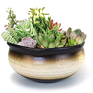 Summer Impressions 8 Inch Glazed Terracotta Plant Pot Round Ceramic Succulent Planter Pot with Drainage and Saucer Cactus Clay Pot Bonsai Pot