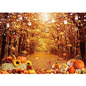 SJOLOON Fall Photo Backdrop Golden Fallen Leaves Autumn Backdrop Pumpkin Thanksgiving Background for Party Decoration Photoshoot 12591 (7x5FT)