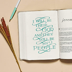 CSB She Reads Truth Bible, Champagne Gold LeatherTouch, Black Letter, Full-Color Design, Wide Margins, Journaling Space, Devotionals, Reading Plans, Single-Column, Easy-to-Read Bible Serif Type