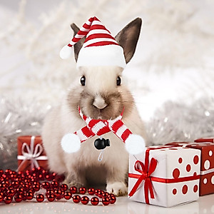 FOIMAS 12pcs Christmas Pet Chicken Hat Scarf Set Small Animal Hat Costume Set for Hen Duck Hamster Guinea Pig Rabbit Kitty Puppy Parrot Lizard Xmas Party Supply