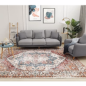 Area Rug Living Room Rugs: 8x10 feet Large Soft Bedroom Carpet Non Shedding Washable Farmhouse Boho Moroccan Throw Accent Rug for Kitchen Dining Room Home Office Under Table Floor - Red/Brown