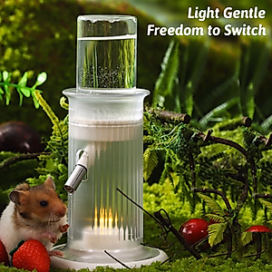 Hamiledyi Hamster Water Bottle with Lights Stand No Drip Small Animal Water Dispenser Pet Drinker Stand for Guinea Pig Mouse Gerbil Squirrel Small Animal Habitat Decoration (Green)