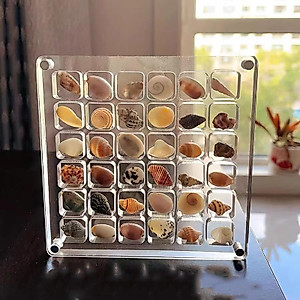 XronSlute Acrylic Magnetic Seashell Display Box,DIY Seashell Display Box,Clear Storage Box for Seashell,Gemstones,Nail,Jewelry (1Pc 36 Grids Small)