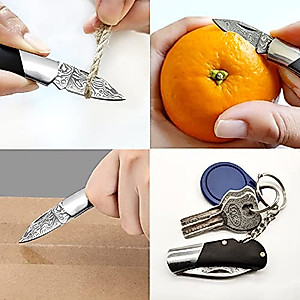 STARDW Damascus Pocket Knife,Mini Folding Pocket Knife,EDC Pocket Knife with Wood Handle,Gifts for Men Women (Damascus A)