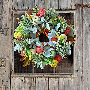 Fall Wreaths for Front Door Harvest Wreath with White Pumpkin Cotton Lamb's Ear Eucalyptus Leaves Farmhouse Autumn Wreath for Thanksgiving Halloween Decoration Indoor Outdoor (Maple-13.77IN)