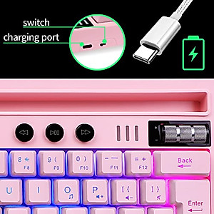 CTBTBESE Wireless RGB Backlit Gaming Keyboard, Ultra-Compact 61 Keys with Phone Stand, Waterproof for PC/Mac Gamer, Typist, Travel(Pink)…