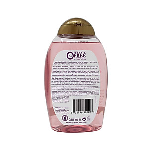 Ogx Shampoo Orchid Oil Fade Defying 13 Ounce (385ml) (6 Pack)