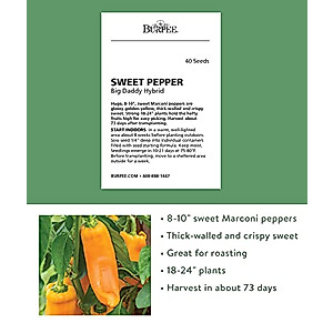 Burpee Big Daddy Sweet Pepper Seeds 40 seeds