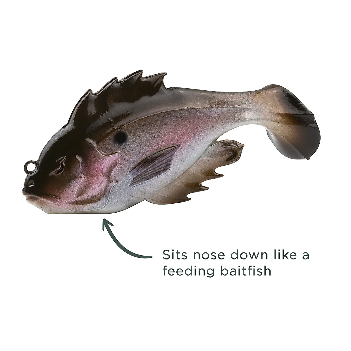 Catch Co 10,000 Fish Head Hunter 3.25" Soft Swimbait (License to Gill)