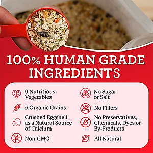 Dr. Harvey's Canine Health Miracle Dog Food, Human Grade Dehydrated Base Mix for Dogs with Organic Whole Grains and Vegetables (Trial Size 6.5 Oz)