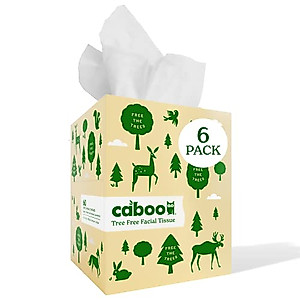 Caboo Tree Free Bamboo Facial Tissue Paper, Eco Friendly Hypoallergenic Tissue Box with 60 Sheets Per Cube, Total of 6 Cubes, 360 Total Tissues