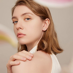 BISAER 925 Sterling Silver Tiny Butterfly Earrings With Screw Back Cubic Zirconia Stud Earrings for Women Cartilage Jewelry