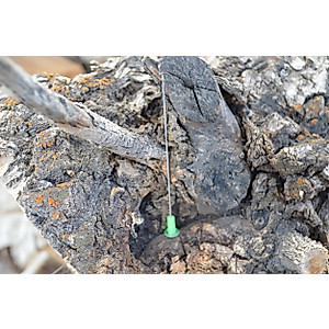 Black Rhino Blowguns 50 Caliber Blowgun Target Wire Darts 50 pcs Neon