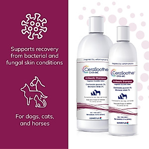CeraSoothe® CHX+MC Antiseptic Shampoo 8oz