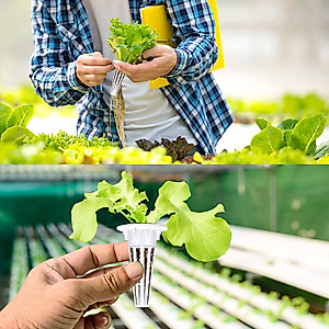 Delemonte 75 PCS Hydroponic Growing Plant Pods Kit, Including 25 Pieces Replacement Grow Baskets 25 Pieces Plant Grow Sponges 25 Pieces Transparent Insulation Lids, Compatible with Aerogarden