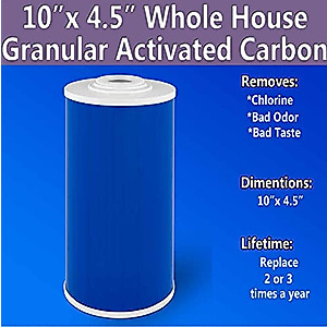 Whole House Water Filter Purifier System, Big Housing with Presser Relief Button, 1” Inlet/Outlet Brass Port & (GAC) Granular Activated Carbon Filter Cartridge (10 Inches)