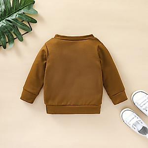 Newborn Infant Baby Boys Pullover Dad's Little Dude Sweatshirt Long Sleeve Casual Sweater Fall Clothes (Brown, 0-3 Months)