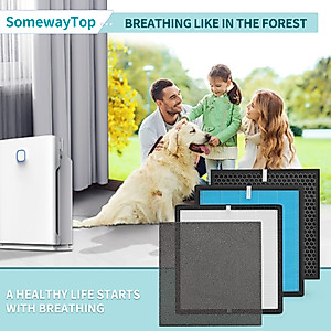 [2 SETS]10L Pro Replacement Filter Set Compatible with Okaysou Air Purifier Filters and Aiibot-A300, 5-Stage Airmax 10L Pro Filter, 2X H13 HEPA and 2X Carbon Filters 2X Sliver HEPA and 6X Pre-filter