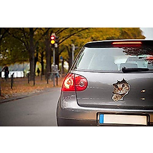 Pack of 2pcs Washroom Room WC Toilet Seat Stickers A Super Adorable Cat Animal Pattern 3D View PVC Wall Stickers Decor Decals Art Mural