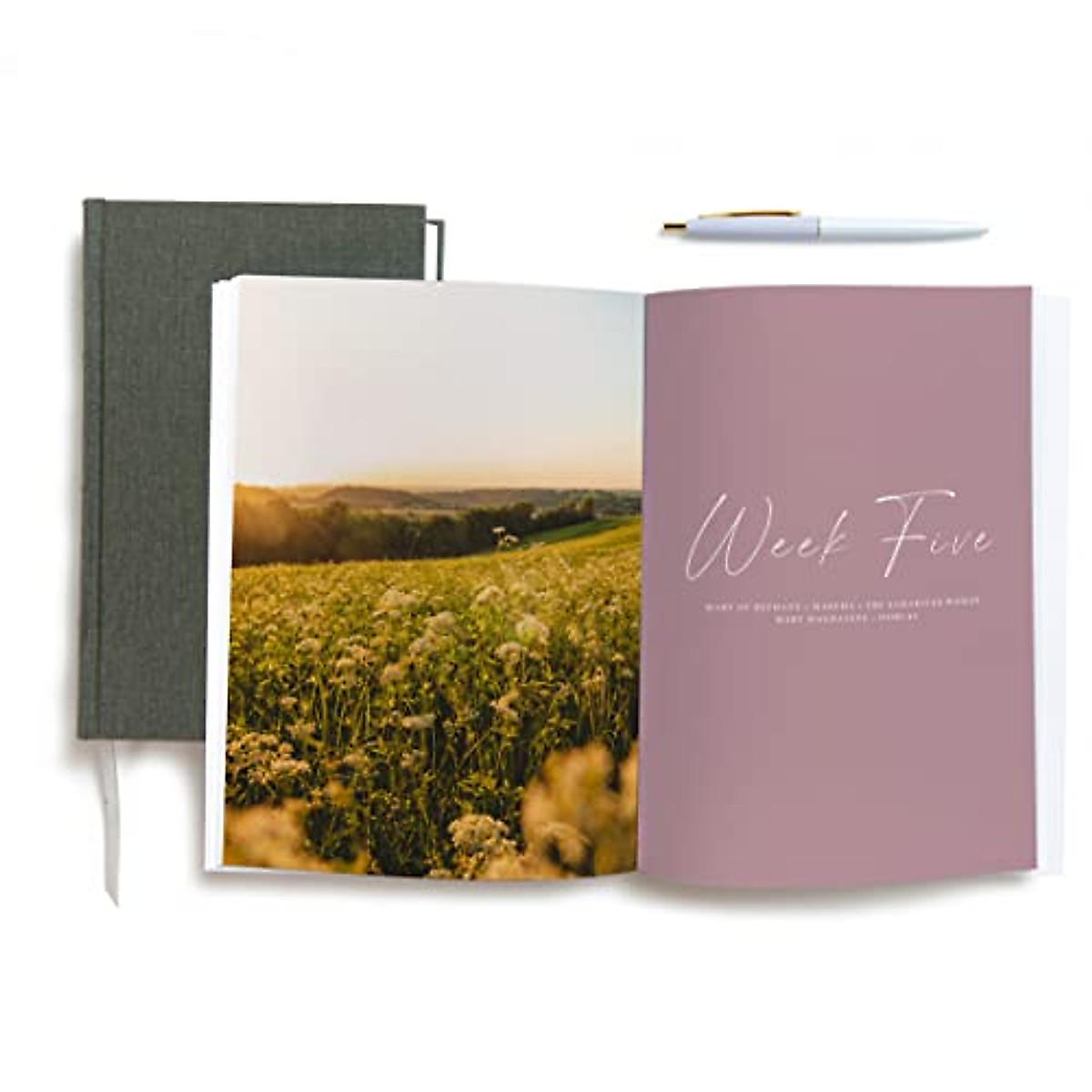 Devoted: 30 Days with Women of the Bible - Devotional Bible Study for Women