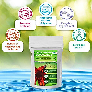 JOR Bloodworm for Betta, Freeze-Dried Treats for Siamese Fighting Fish and Other Aquatic Pets, Perfect for Picky Eaters and Breeding Tanks, 0.52 oz per Pack