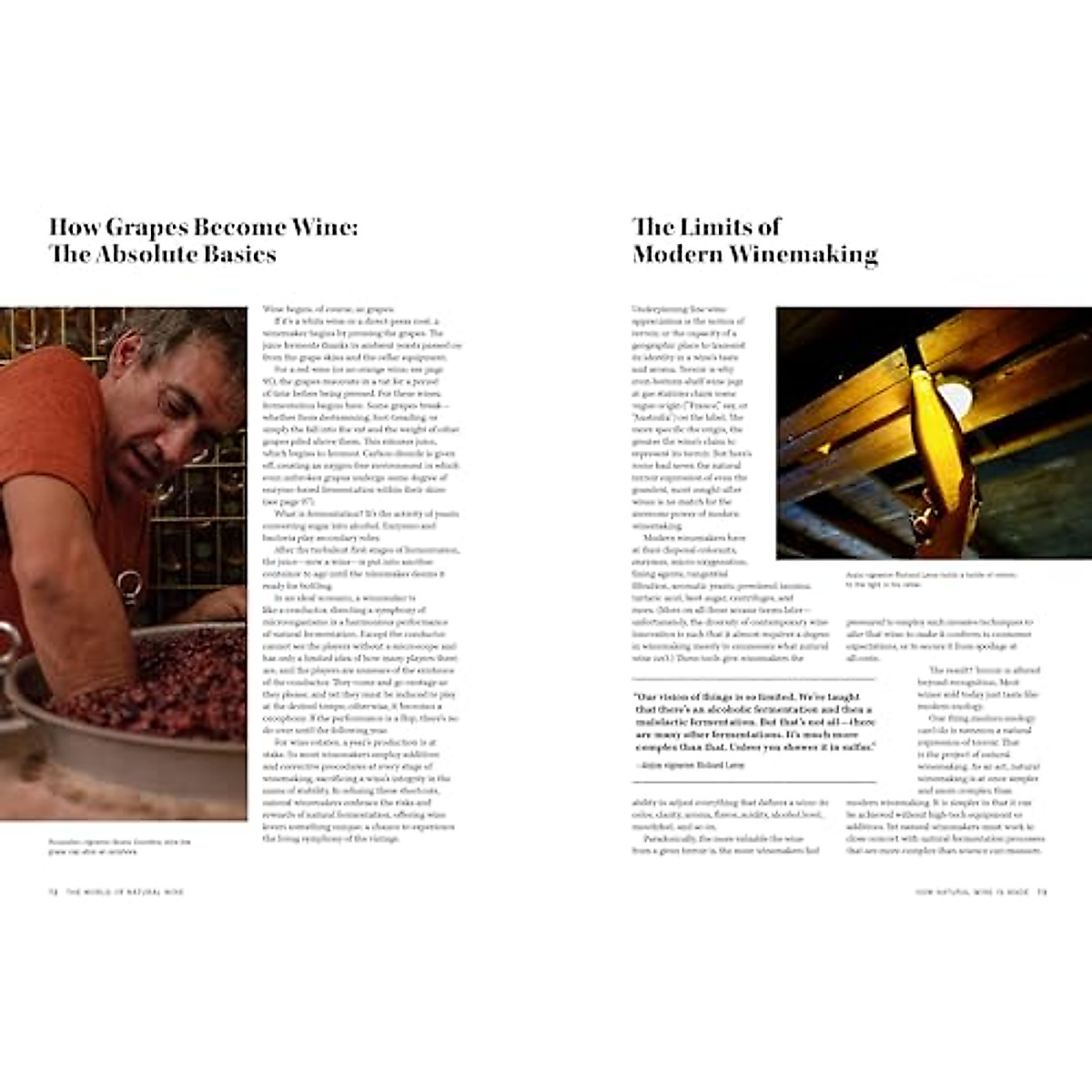 The World of Natural Wine: What It Is, Who Makes It, and Why It Matters