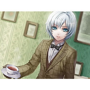 Will O' Wisp DS [Limited Edition] [Japan Import]