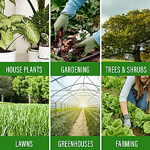 Elm Dirt Plant Juice Organic Fertilizer for All Plants - Indoor or Outdoor (1 Bottle)