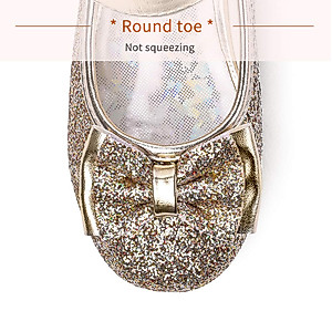 Stelle Girls Dress Shoes Glitter Princess Shoe Flower Mary Jane Low Heels Party Wedding Prom Footwear for Toddler Kids(T08-Gold, 2ML)