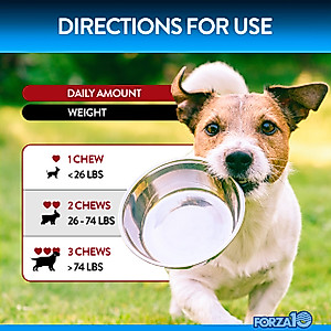 Forza10 Dog Skin and Coat Supplement with Omega 3 Fish Oil Dogs, Provides Dog Allergy Relief, Salmon Flavor Dog Vitamins & Supplements for Itchy Skin Relief, Dog Allergy Chews with Probiotics, 90 Ct.