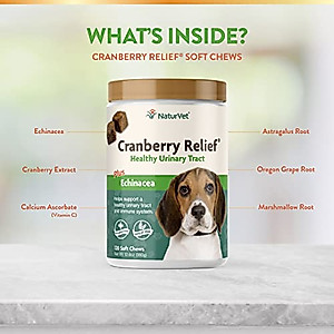 NaturVet – Cranberry Relief Plus Echinacea – Helps Support a Healthy Urinary Tract & Immune System – 120 Soft Chews