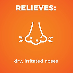 Amazon Basic Care Premium Saline Nasal Moisturizing Spray, Non-Medicated Relief for Dry, Irritated Nose, 3 fl oz (Pack of 1)