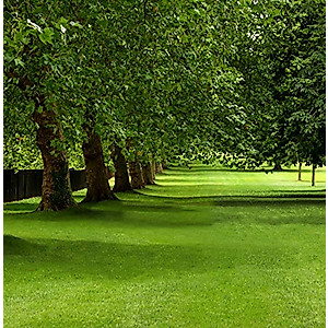 Mountain View Seeds Natures Own Sun & Shade Mix Grass Seed, 8-pounds