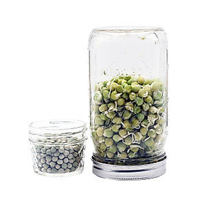 3 Pack Rust Proof Sprouting Lids for Wide Mouth Mason Jars by Mason Jar Lifestyle - Curved For Better Airflow - 316 Stainless Steel - One Piece Design…