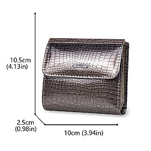 Dicihaya Women Small Compact Bifold Genuine Leather Wallet Ladies Mini Purse with ID Window Coin Pocket (Silver)