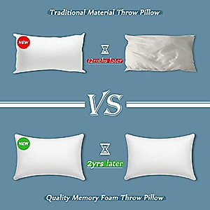 AM AEROMAX 12 × 20 Pillow Insert Memory Foam Lumbar Support Throw Pillow Sham Rectangular for Decorative Cushion Bed Couch Sofa Without Deform After Longtime Use