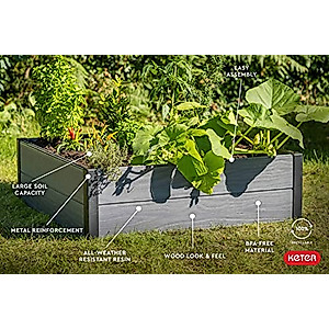 Keter Maple Raised Garden Bed, Durable Outdoor Planter for Vegetables, Flowers, Herbs, and Succulents, Grey
