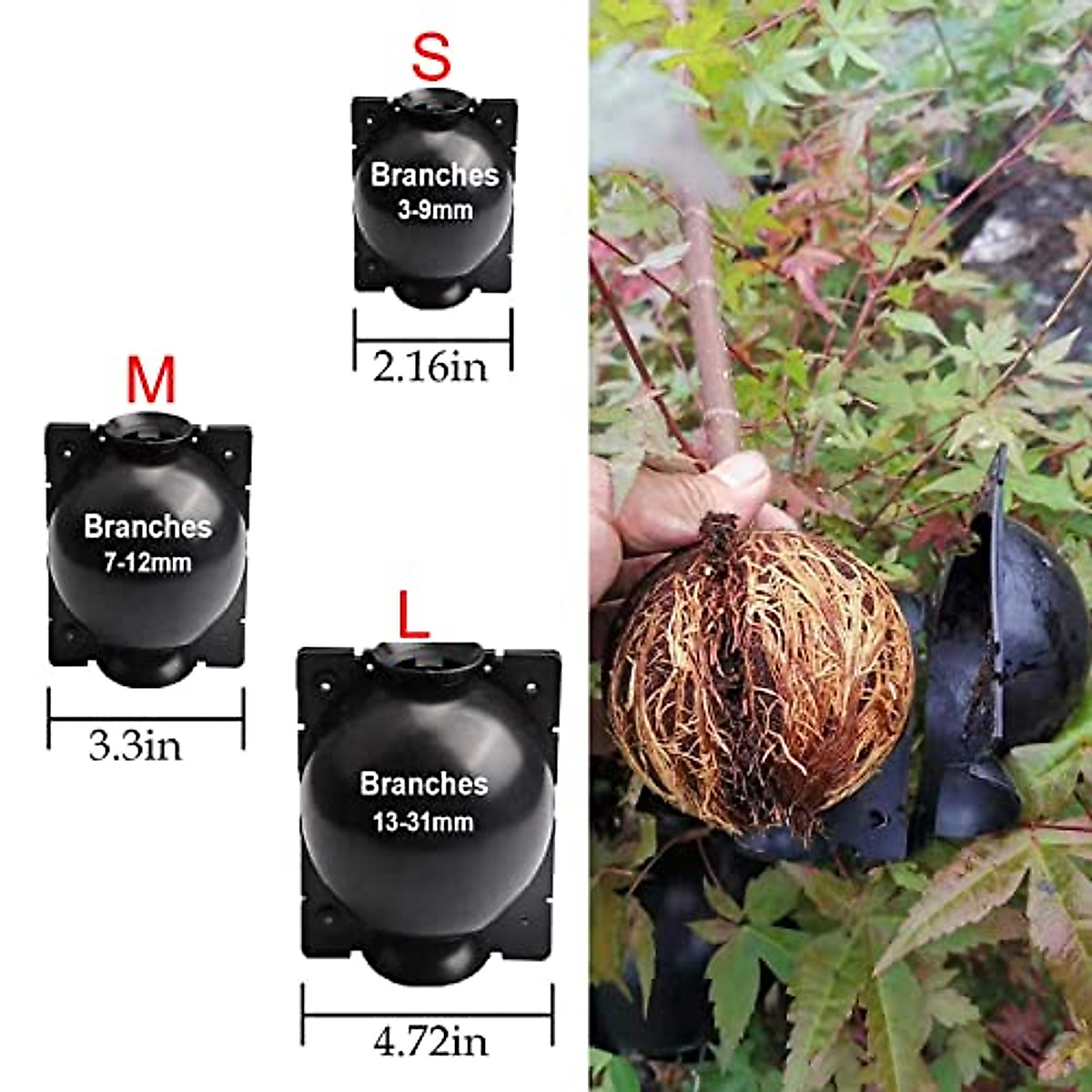 QHC KOCK Tree Root Growing Box,10 Pack Rooting Ball Grafting Tools,Sprouts Growing Kit Reusable High Pressure Tree Rooter Air Plant Layering Propagation Pot Rooting Device for Plant Cutting Seedings