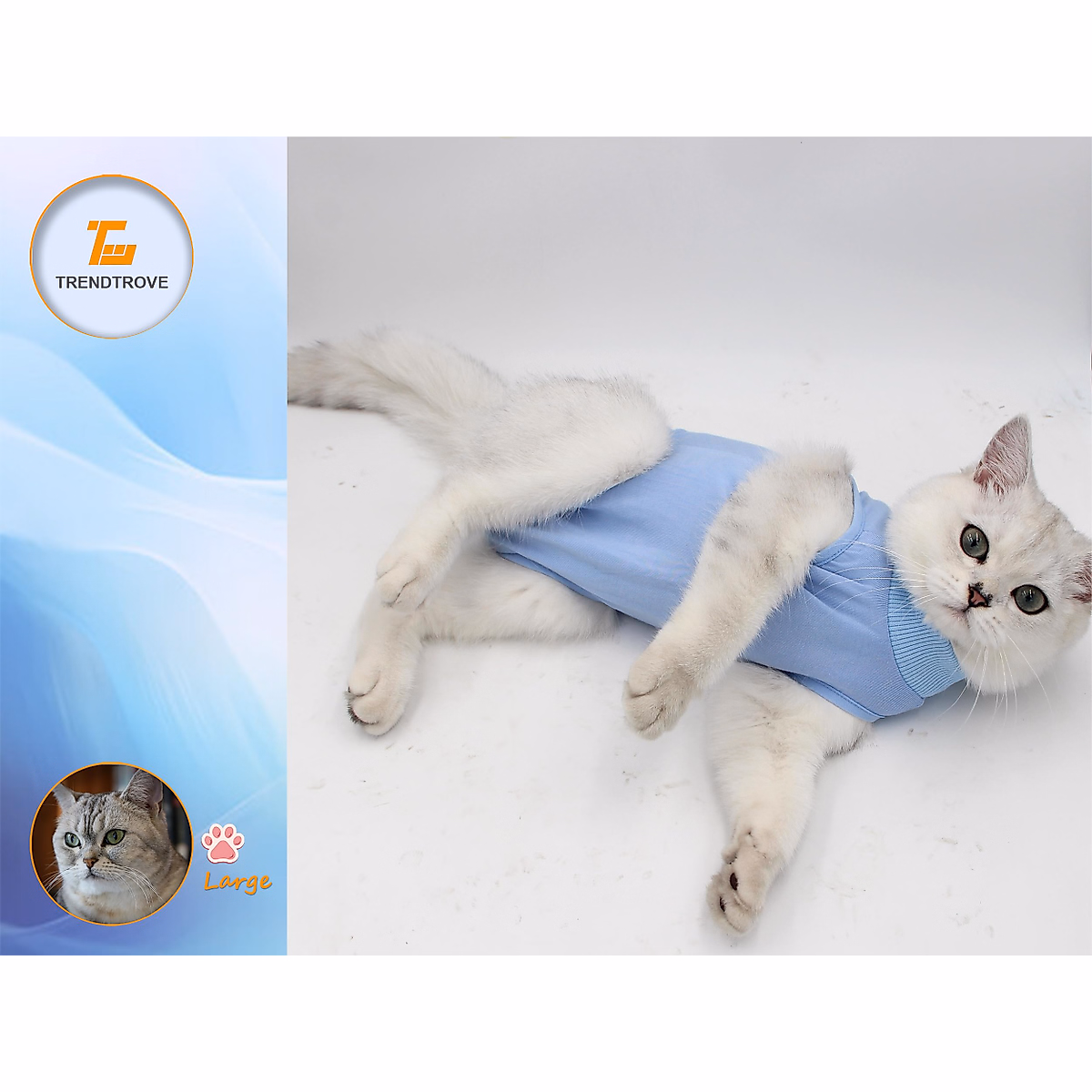 2PCS Cat Cone Collar and Cat Recovery Suit, Anti-Bite, Stop Licking Wounds, Adjustable Soft Elizabethan Cone, Cat Onesie for Female Cat After Surgery