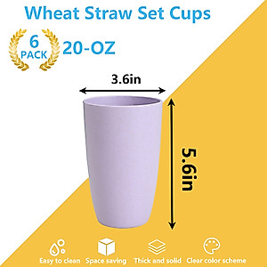 Numkey 20 oz [set of 6] Wheat Straw Cups Plastic Cups Reusable Unbreakable Drinking Cups Dishwasher Safe Water Glasses BPA Free cup Set For Kitchen, Camping, Party (Multicolor)