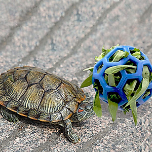 Tirifer Tortoise Feeder Ball, 5.5 inch, Encourages Foraging Behaviors, Keeps Pets Entertained