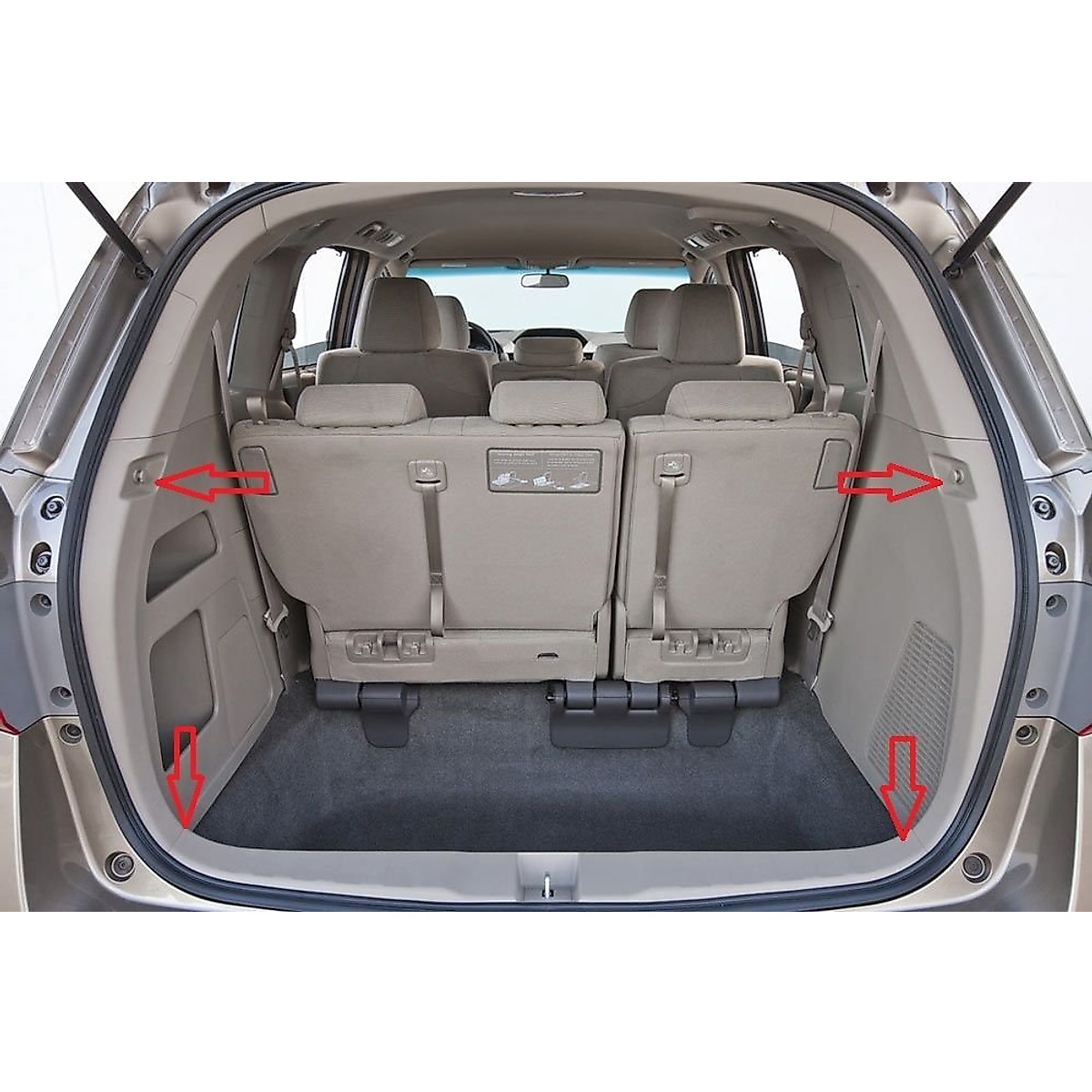 Maxx Express Trunk Envelope Cargo NET for Honda Odyssey