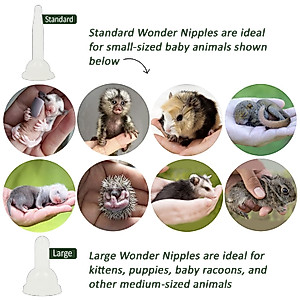 Wonder Nipple & Syringe Nursing Set - Small Animal Handfeeding Nursing Set - Great for Baby Squirrels, Rabbits, Racoons, Sugar Gliders, Hedgehogs, and Other Small Baby Mammals (Expanded)
