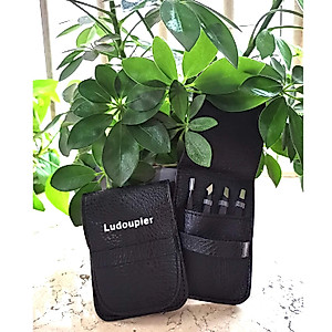 LUDOUPIER [4+1 Pieces] Tweezers Set with Travel Case, Great Precision Upgrade Professional Anti-rust Alloy Tweezers for Women & Men, Multi-purpose as Eyebrows Facial Hair Ingrown Hair Removal