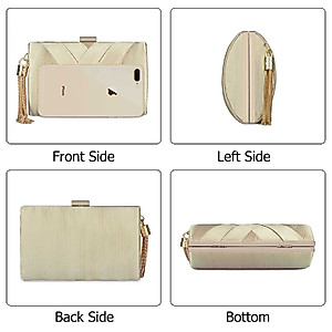 KISSCHIC Women's Elegant Tassel Evening Bag Clutch Purse for Bride Wedding Prom Night Out Party, Red